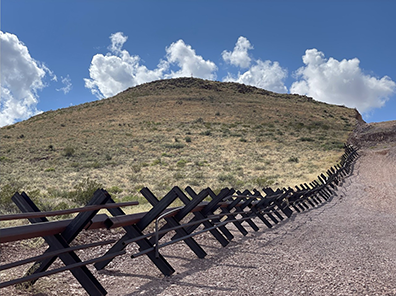 Center for Immigration Studies